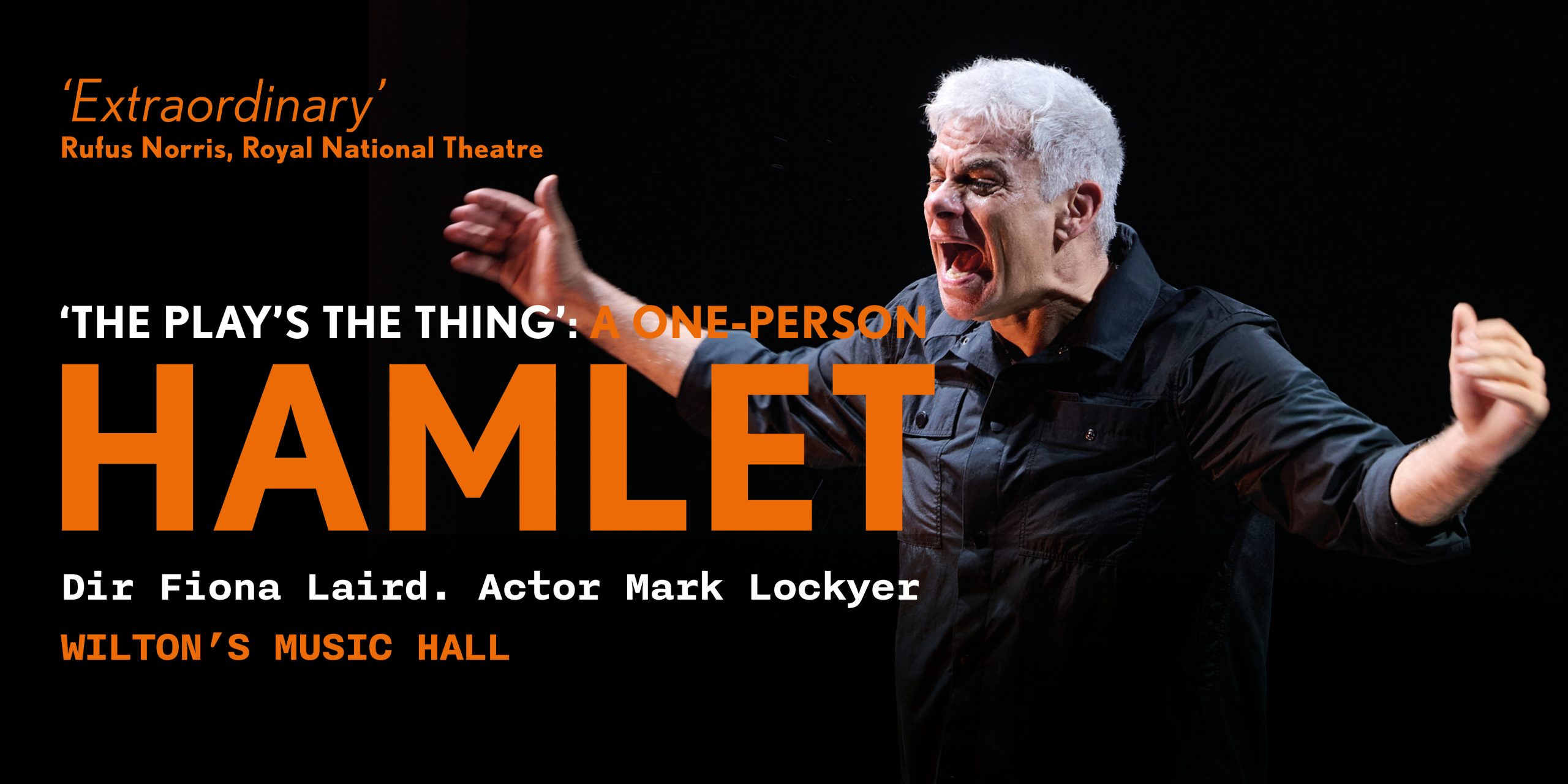 The Play's The Thing: A One Person Hamlet | Official London Theatre ...